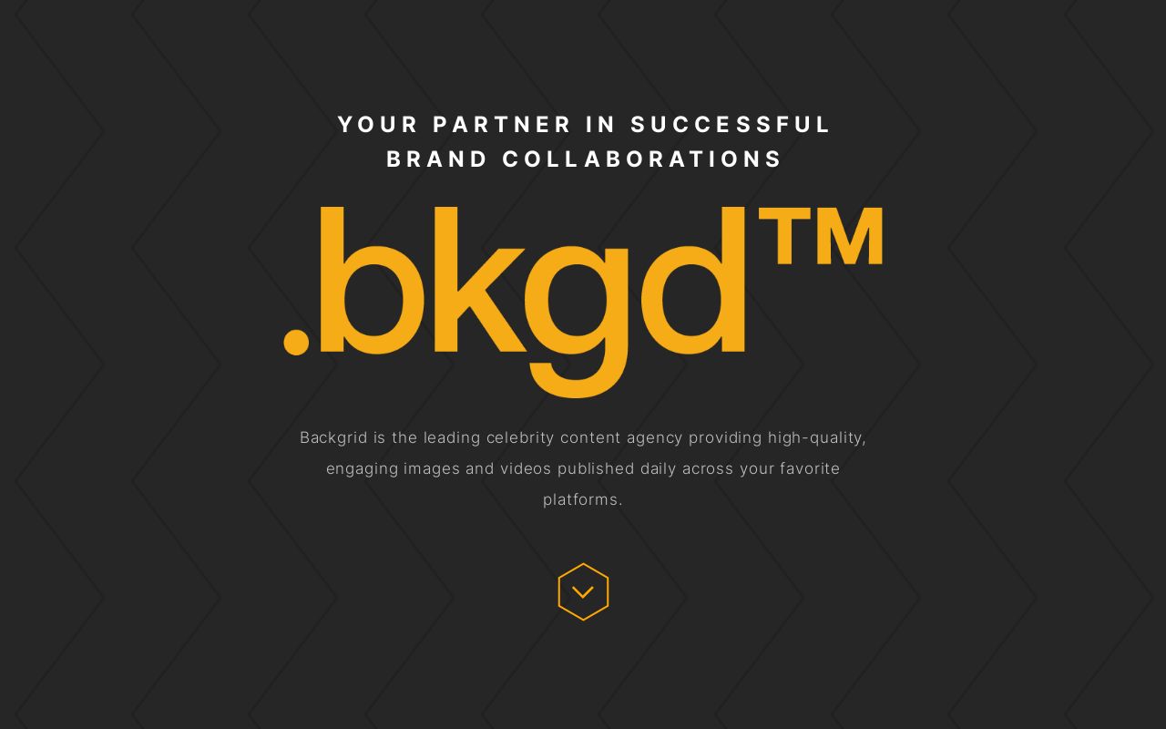 BACKGRID BRAND PARTNER